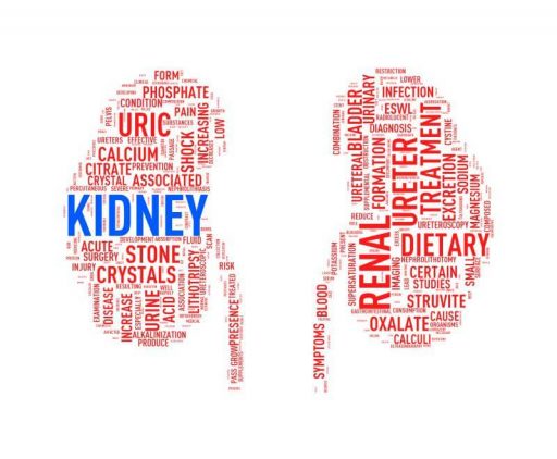 Ep3: Dr. Azra Bihorac, MD, MS, on How Acute Kidney Injury Should Be ...
